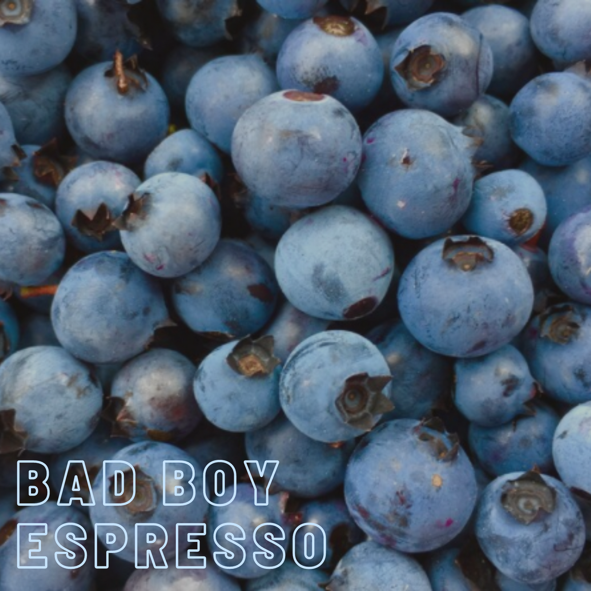 Bad Boy espresso coffee - Prestige - Brûlerie du Quai